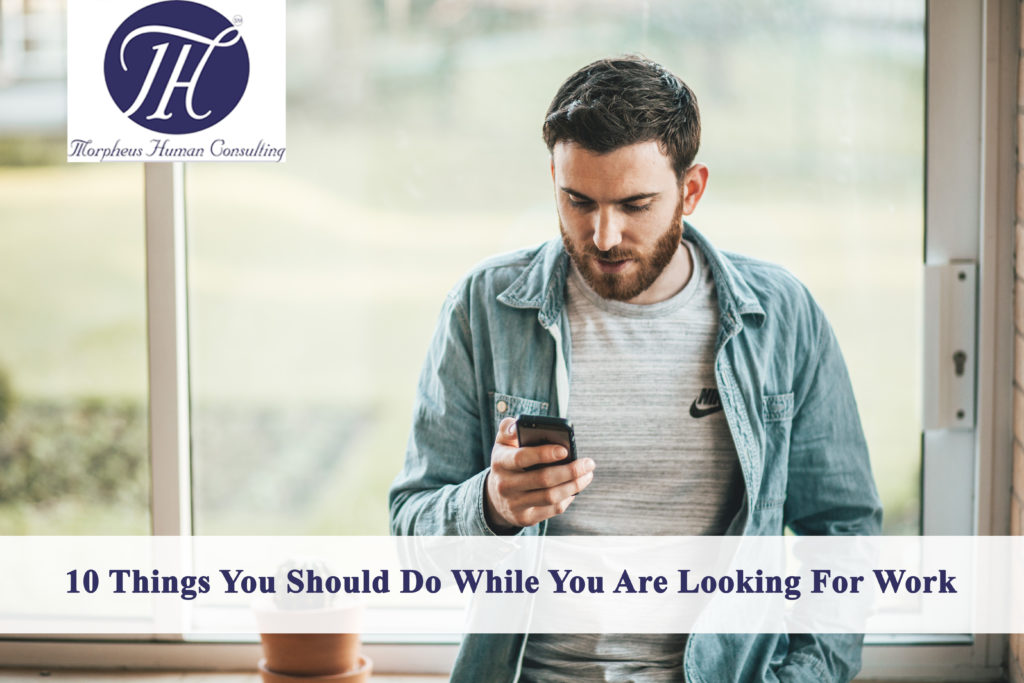 10 Things You Should Do While You Are Looking For Work - Morpheus Human ...